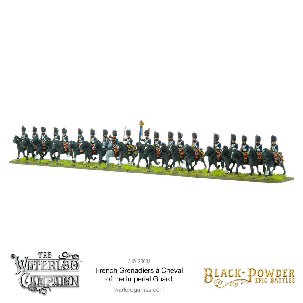 Black Powder Epic Battles: Waterloo - French Grenadiers à cheval of th ...